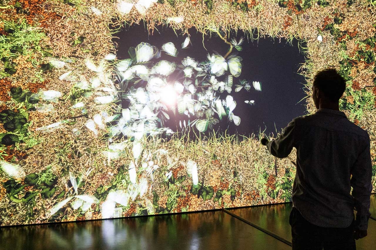 THE ARTWORK AS A LIVING SYSTEM - CYLAND
